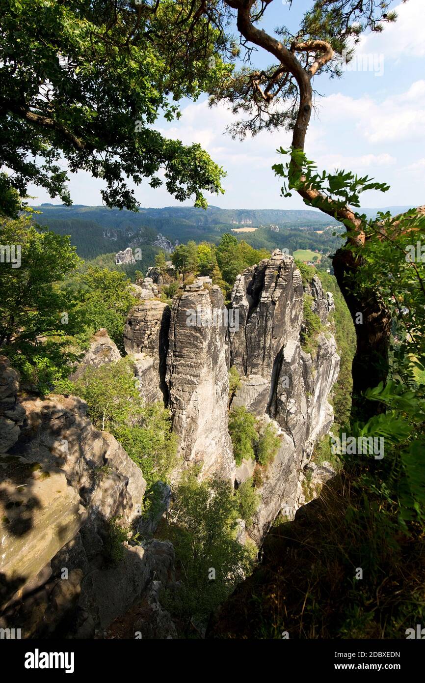 Sky saxon hi-res stock photography and images - Alamy