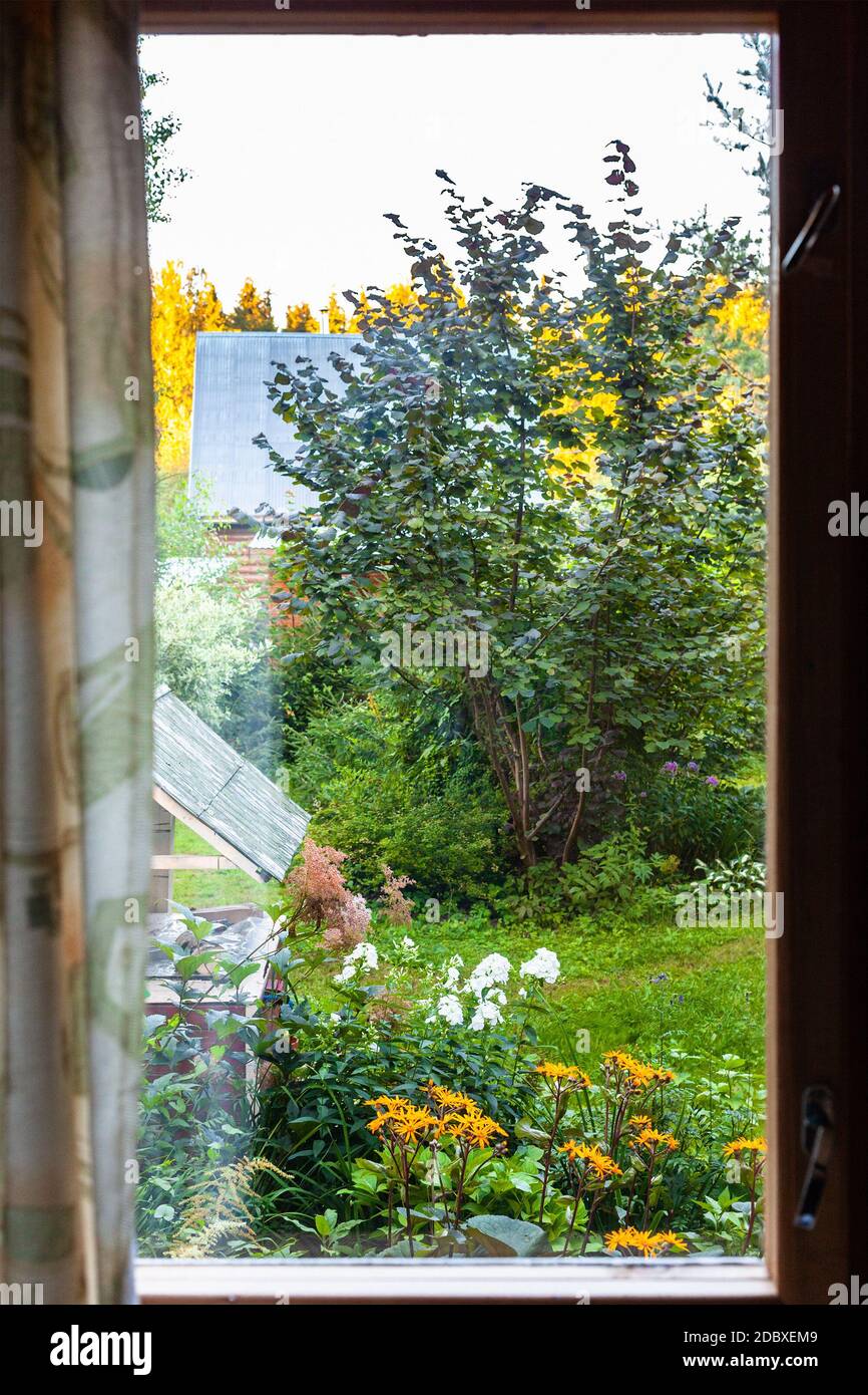 view of overgrown yard with well through window in cottage in summer ...