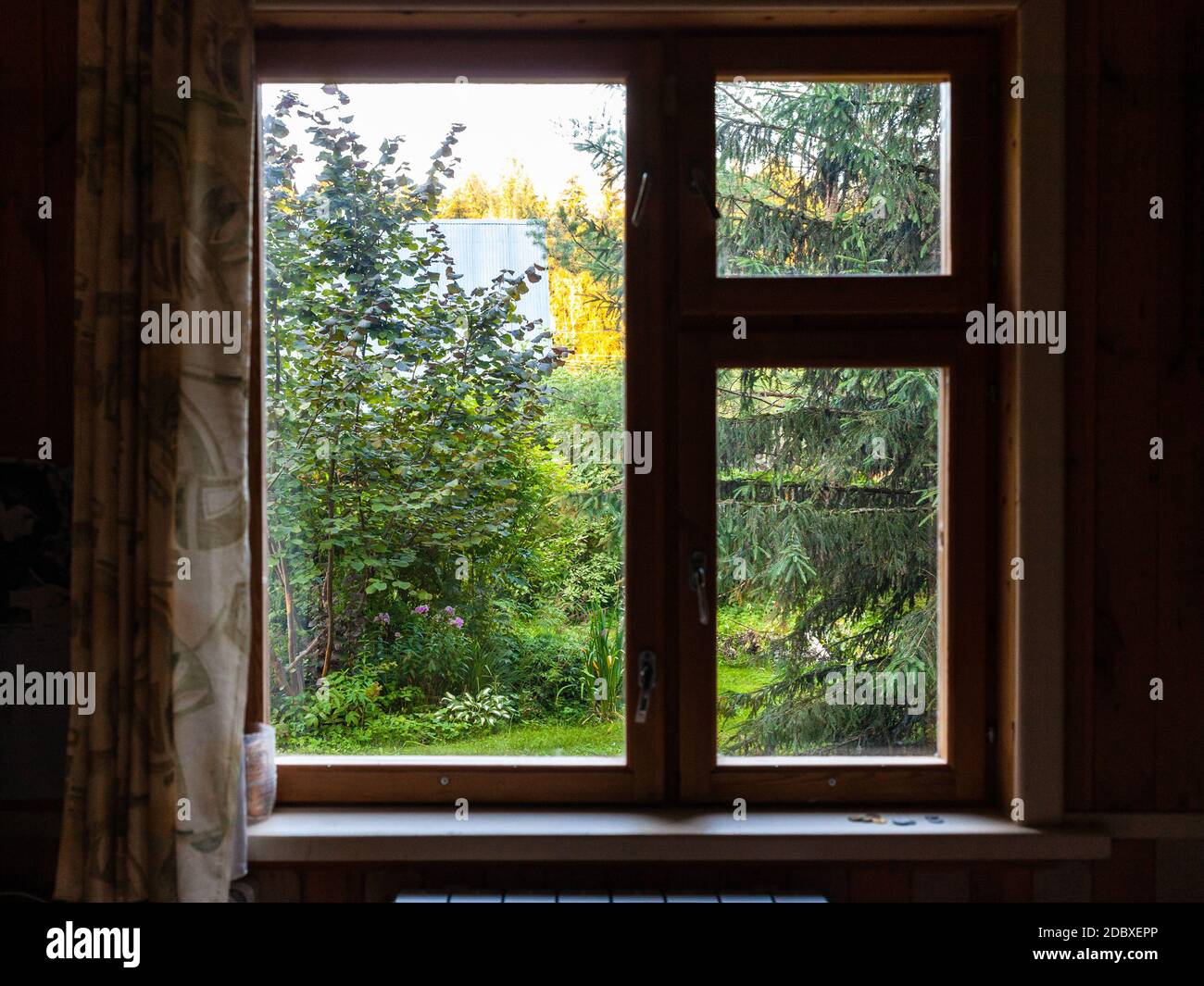 view of overgrown backyard through window in summerhouse at summer ...