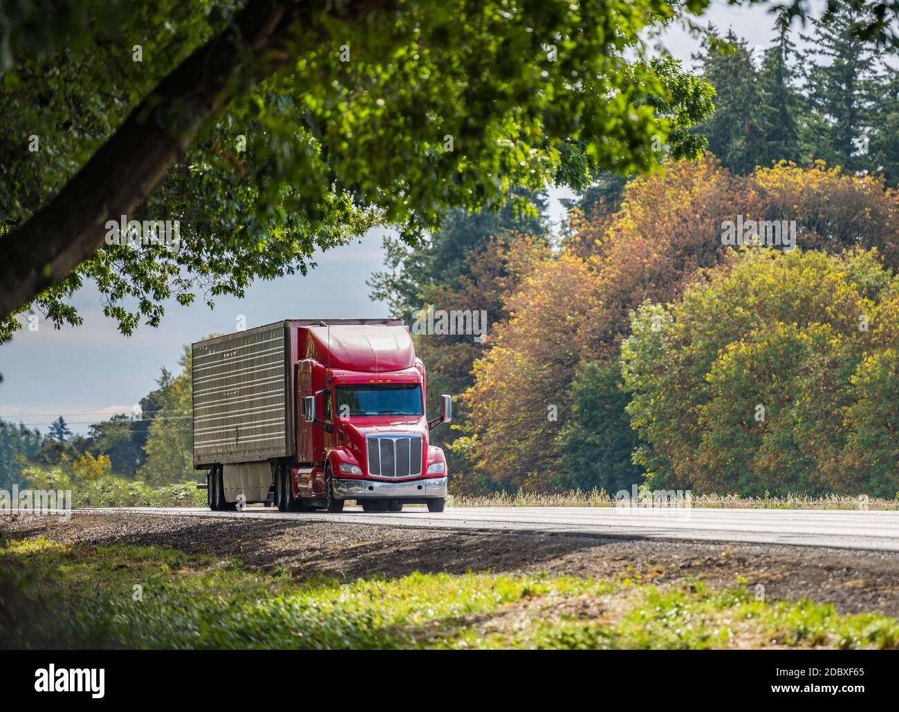 Bright red long hauler big rig red industrial semi truck transporting ...