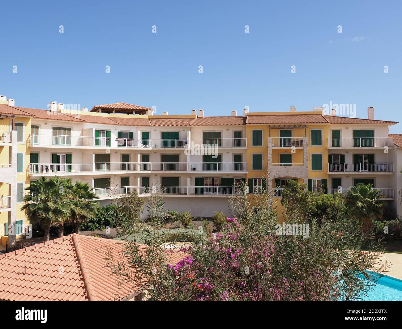 Exotic complex and tropical trees on Sal island in Cape Verde Stock ...