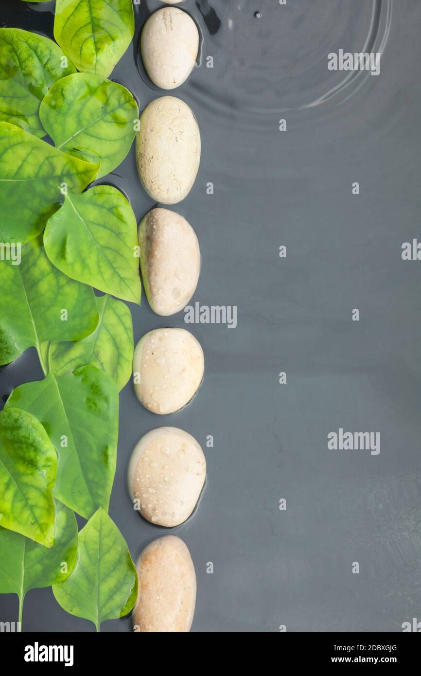 Line of stones and leaves in water, with space for your text Stock ...