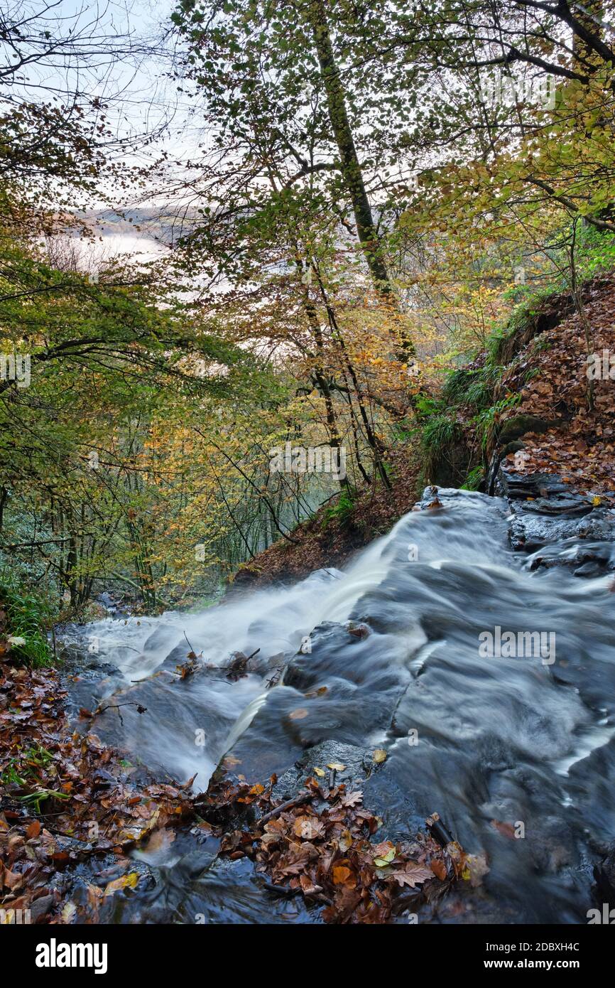 Cleddon Falls near Trellech Stock Photo - Alamy