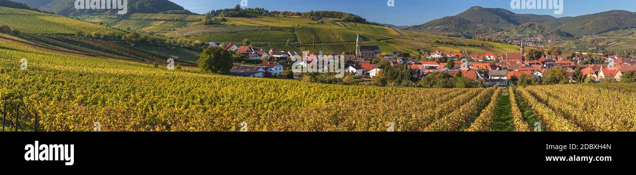 Rhineland Palatinate Vineyards High Resolution Stock Photography and ...