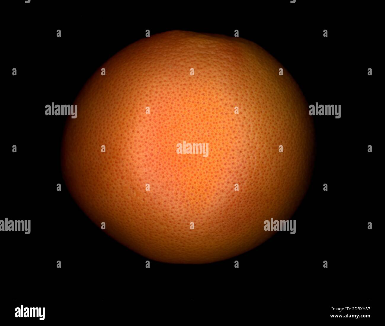 sweet orange vegetarian fruit food (scientific name Citrus sinensis ...