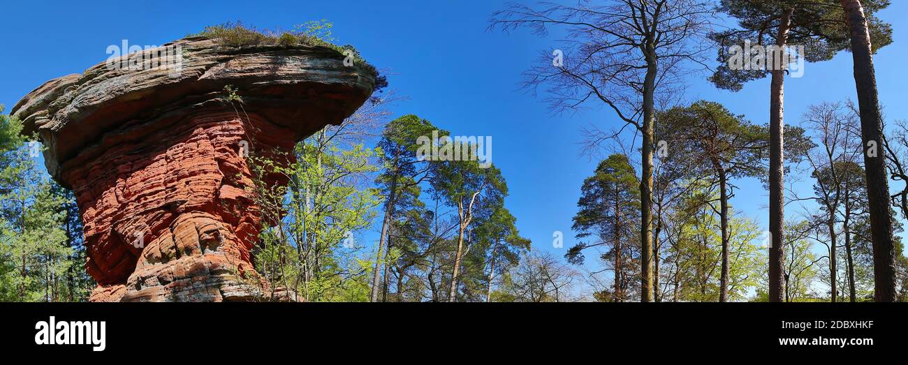 Devil's table stands on a hill in the middle of the forest Stock Photo ...