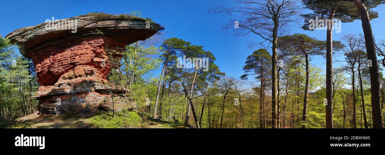 Devil's table stands on a hill in the middle of the forest Stock Photo ...