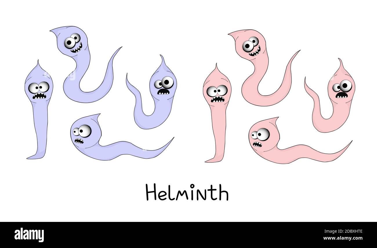 helminths, roundworms. intestinal parasites. warning sign parasitism ...