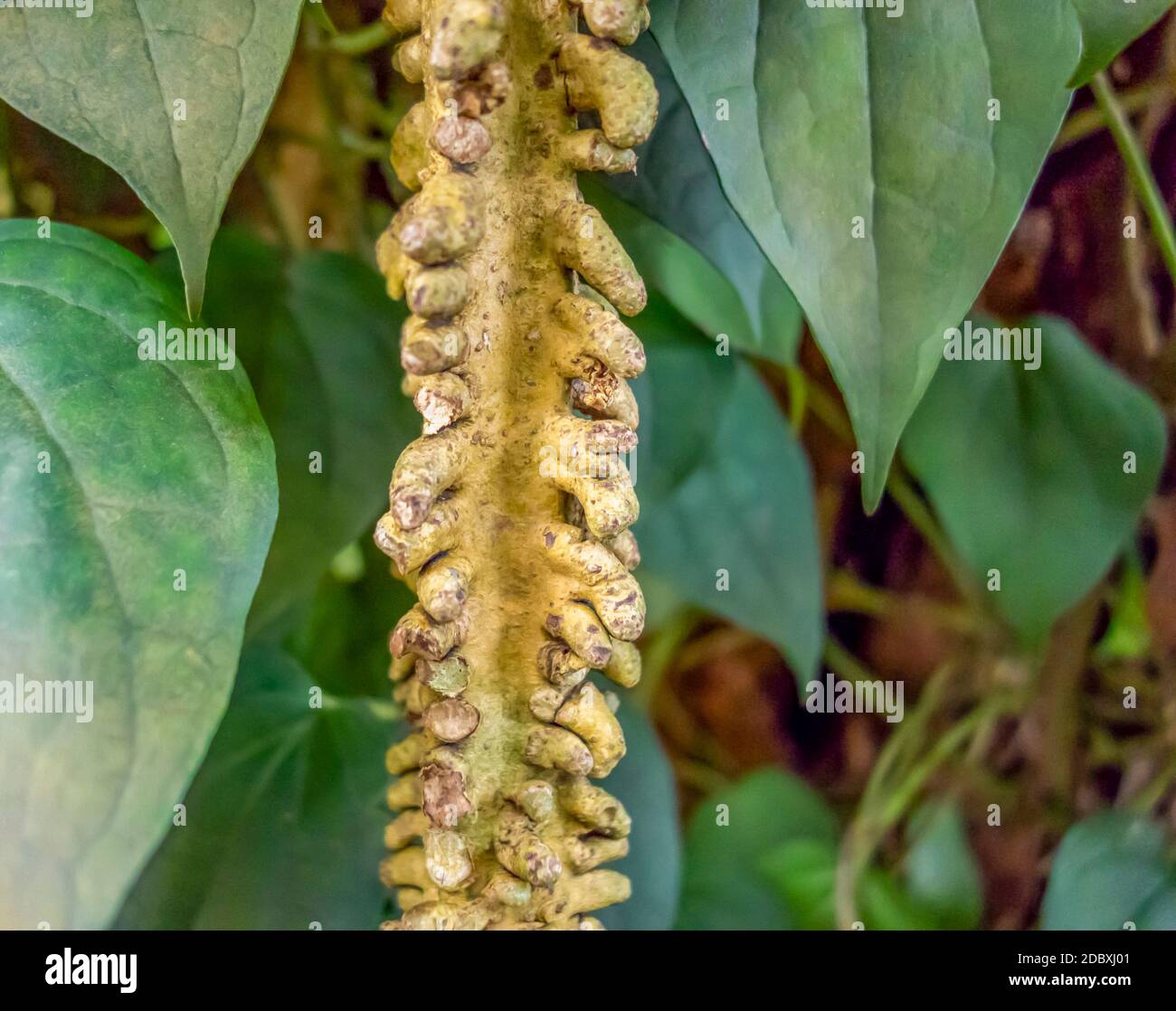 Aerial close up shot showing hi-res stock photography and images - Alamy