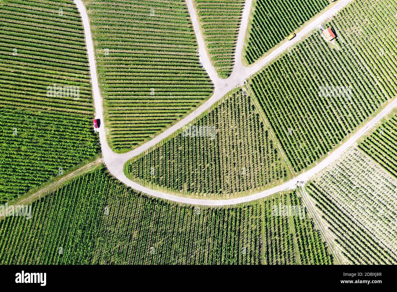 Vineyard from above with paths and roads Stock Photo - Alamy