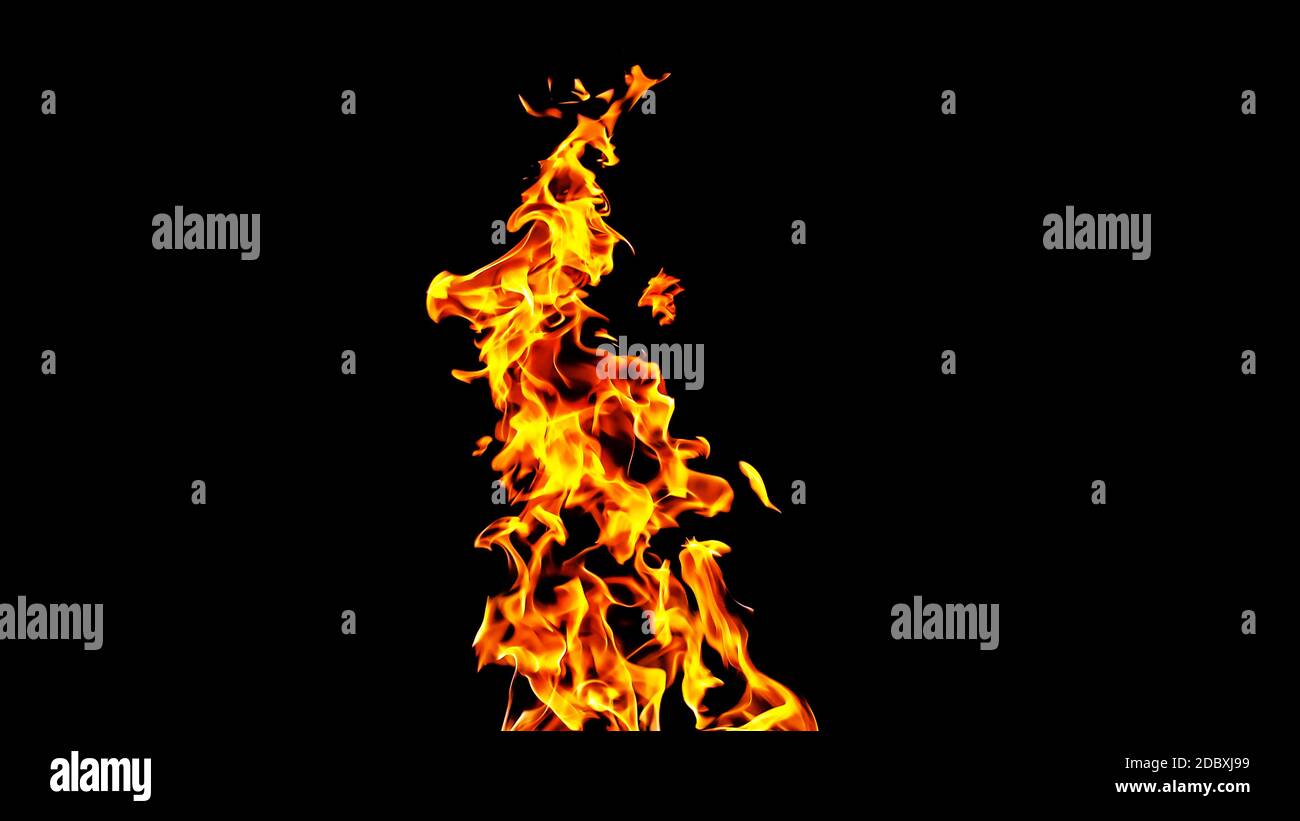 Fire flames on black background isolated. Burning gas or gasoline burns ...