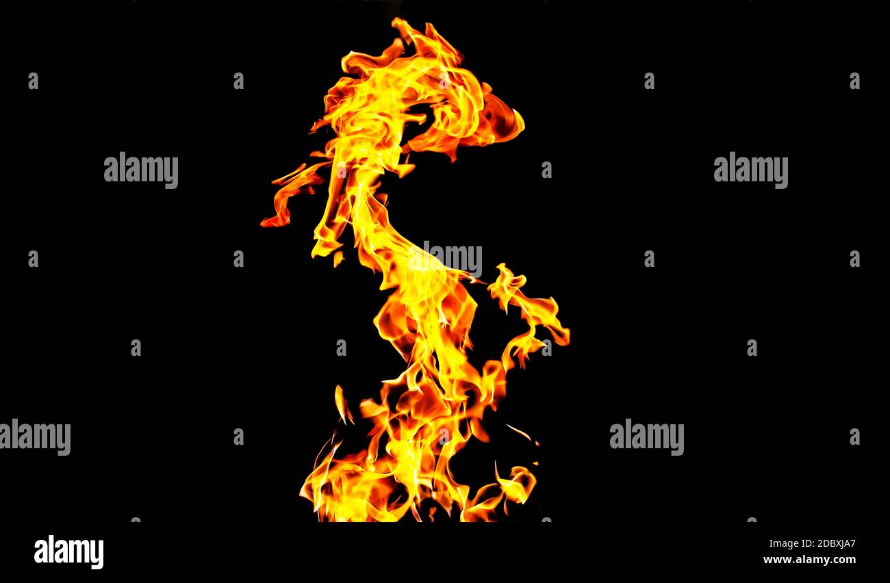 Fire flames on black background isolated. Burning gas or gasoline burns ...