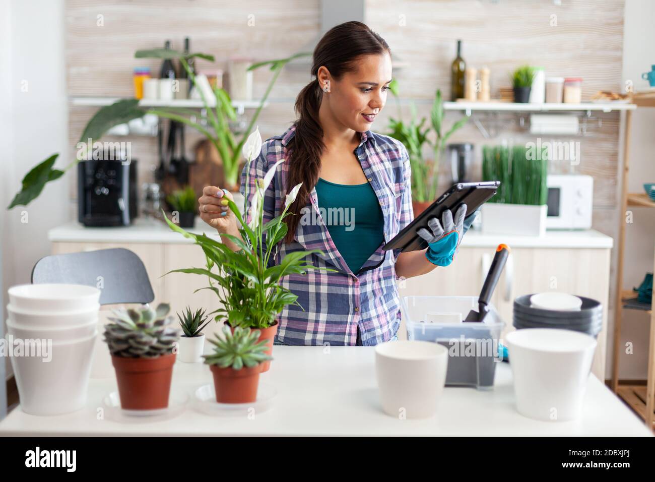 Herbs flowers following plants hi-res stock photography and images - Alamy