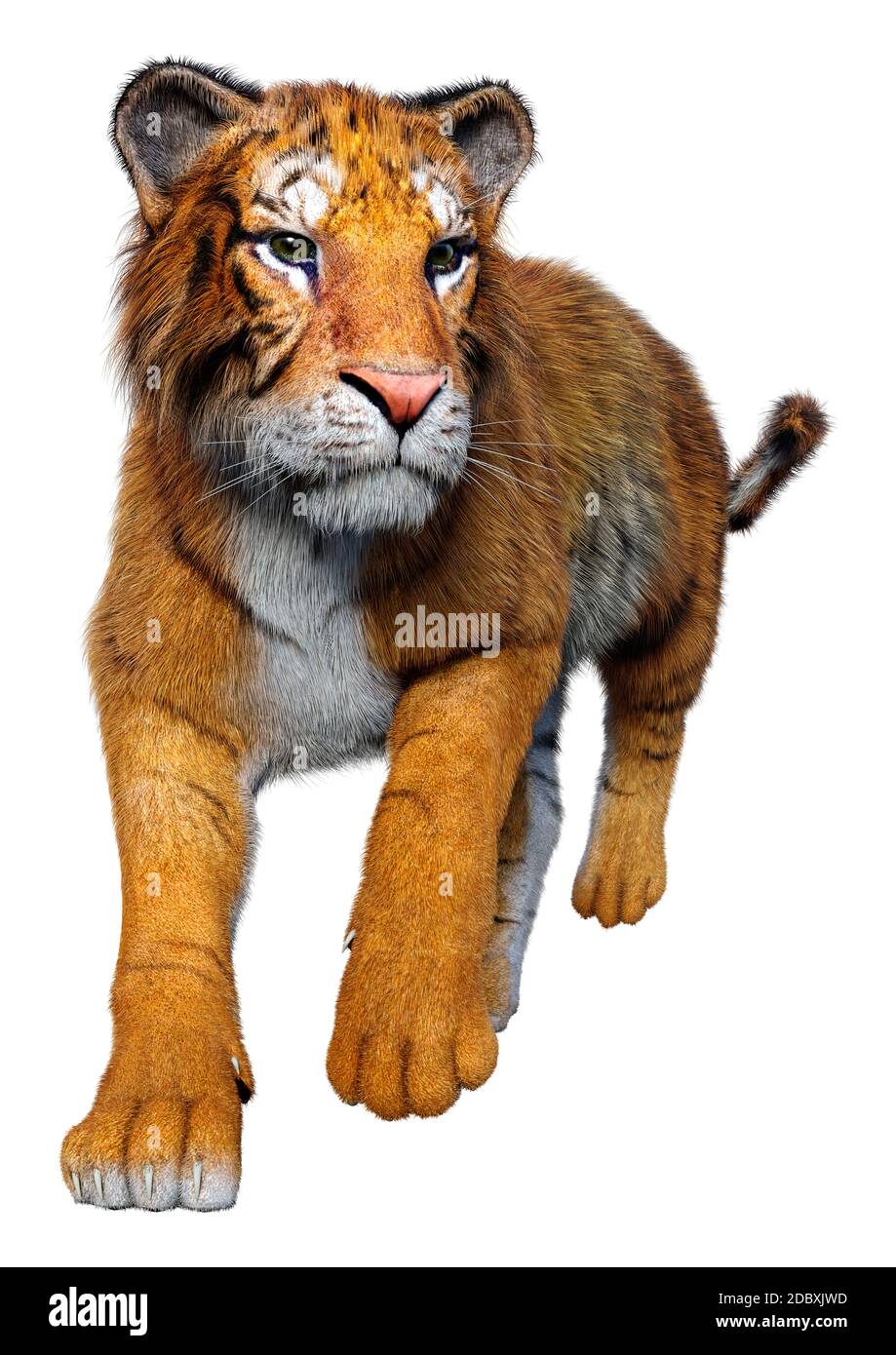 3D rendering of a big cat tiger isolated on white background Stock ...