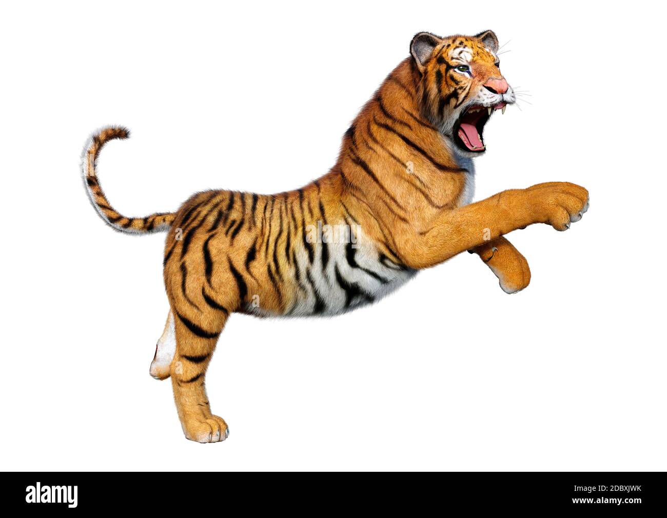 3D rendering of a big cat tiger isolated on white background Stock ...