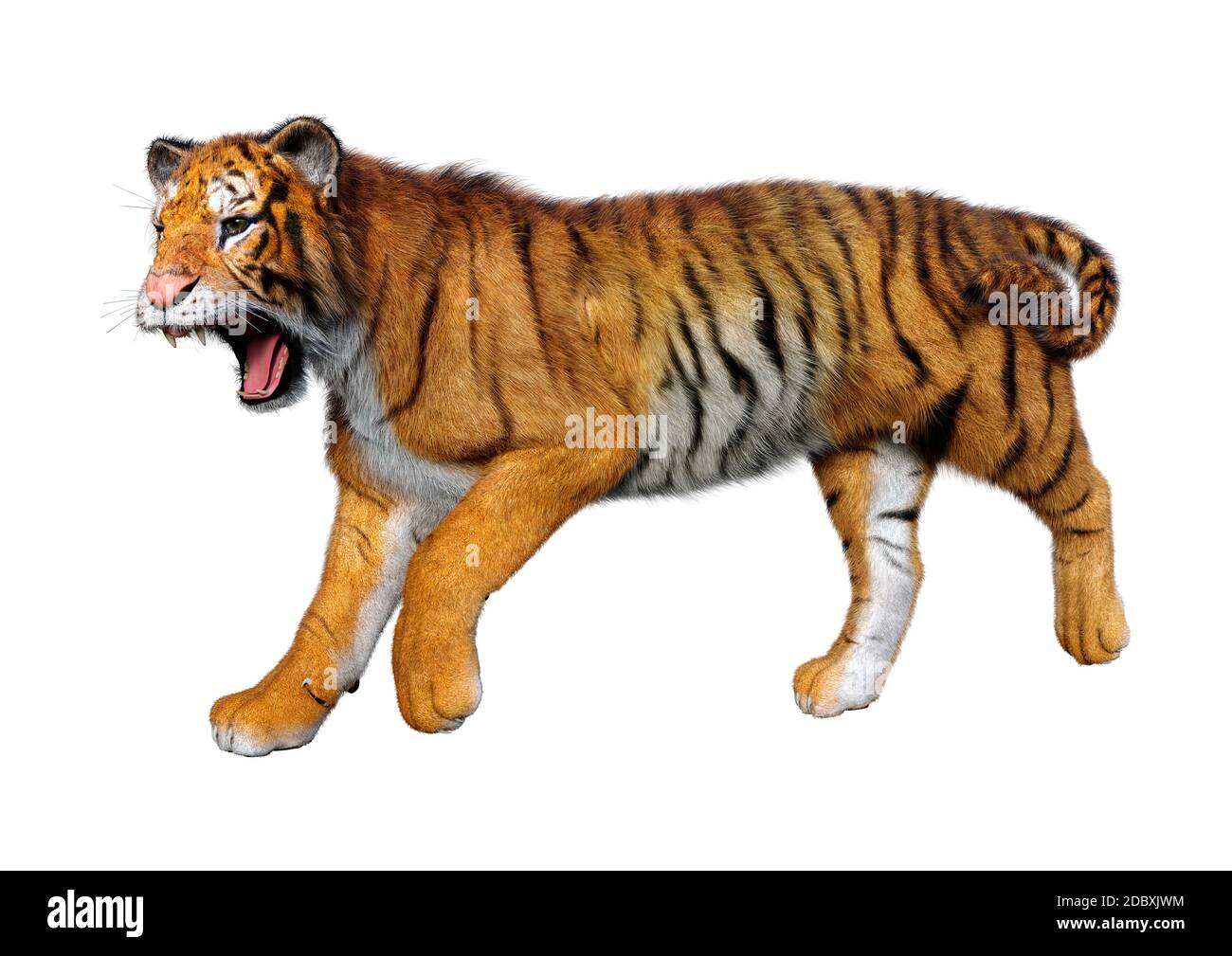 3D rendering of a big cat tiger isolated on white background Stock ...