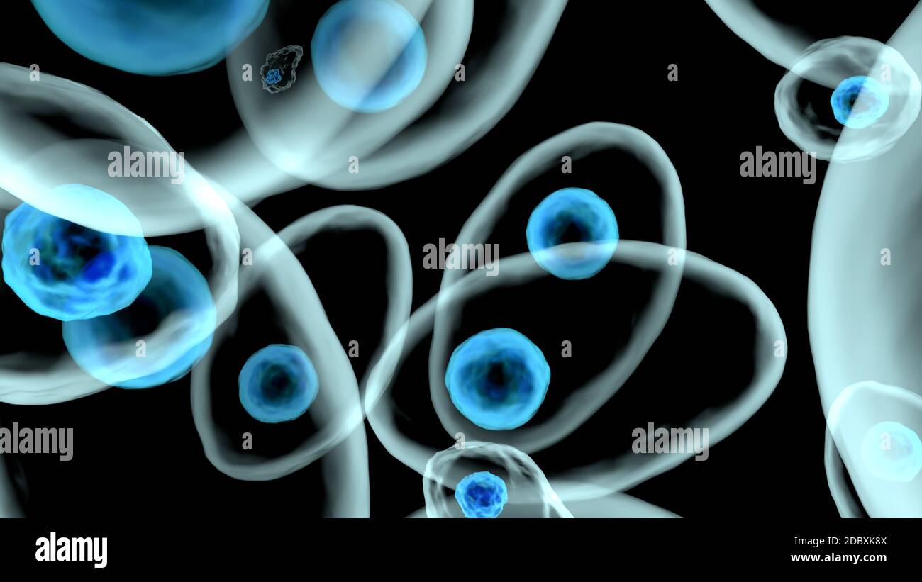 3D rendered Illustration of living cells under the microscope Stock ...