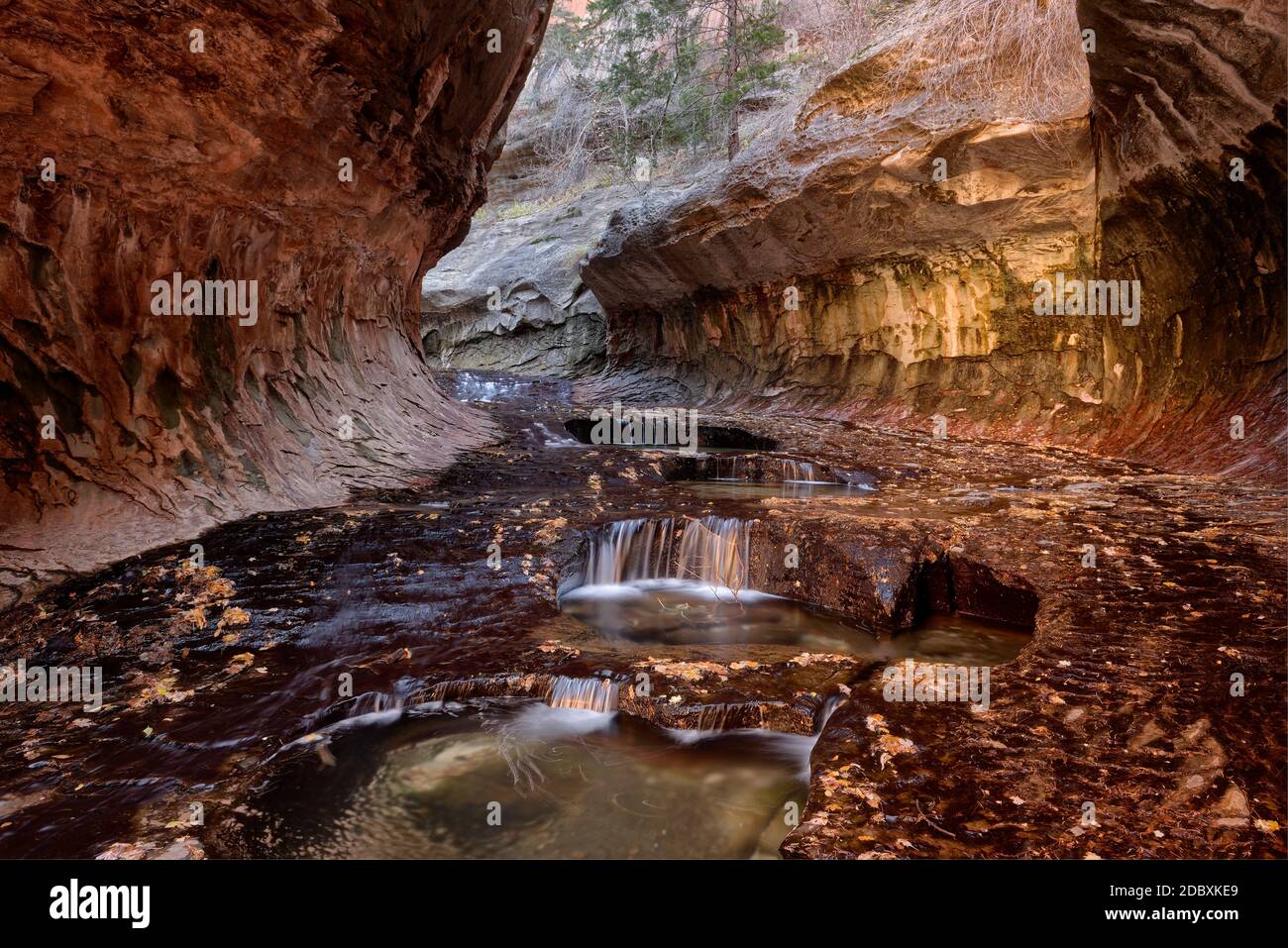 Subway slot canyon zion national park hi-res stock photography and ...