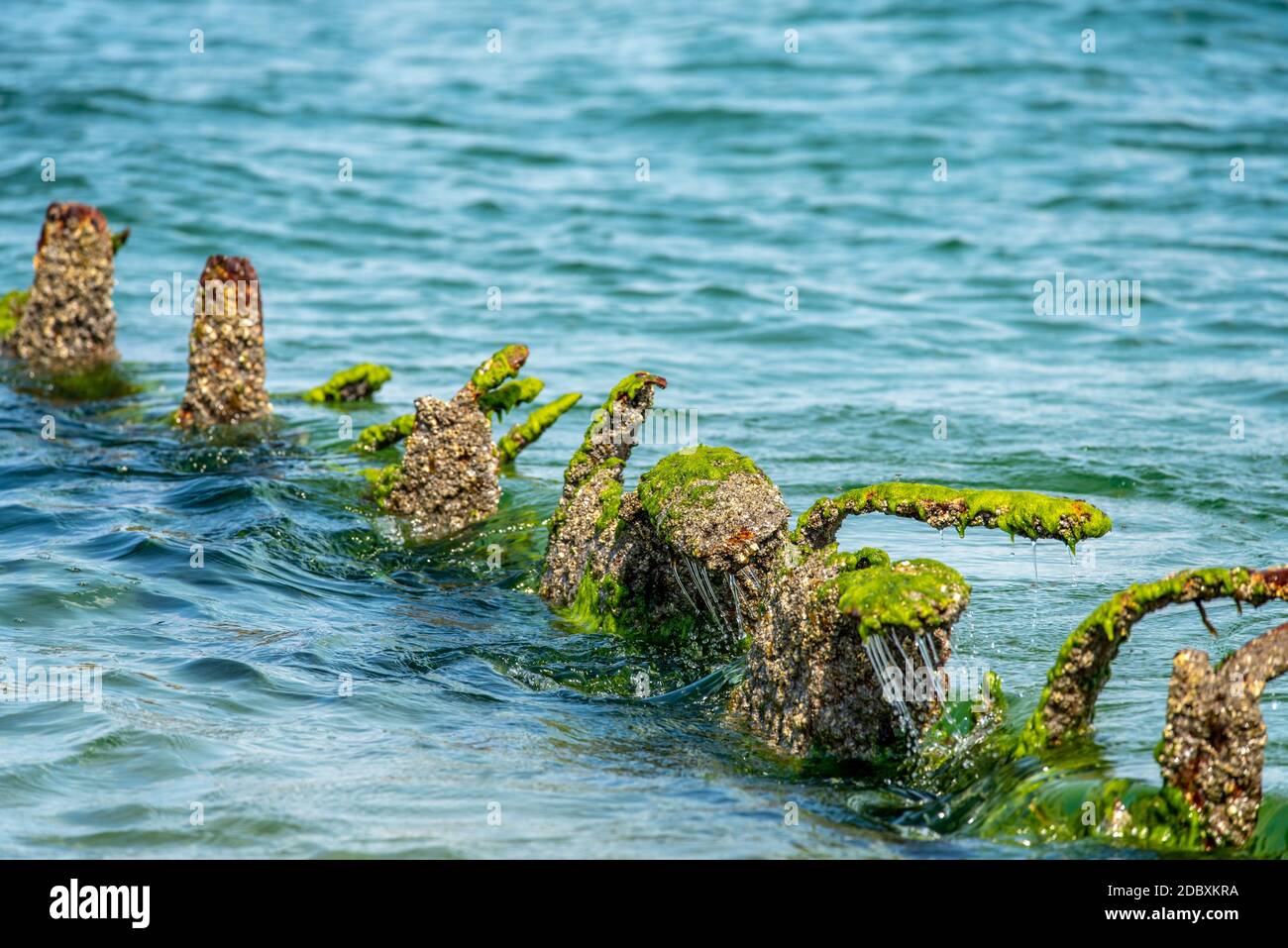 Old steel groyne Stock Photo - Alamy