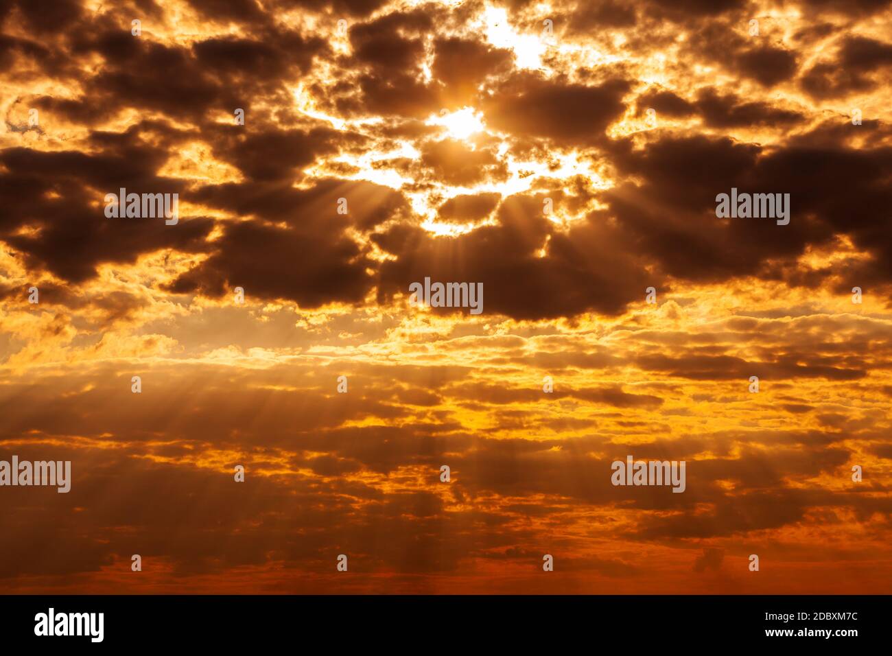 Sun seeping through hi-res stock photography and images - Alamy