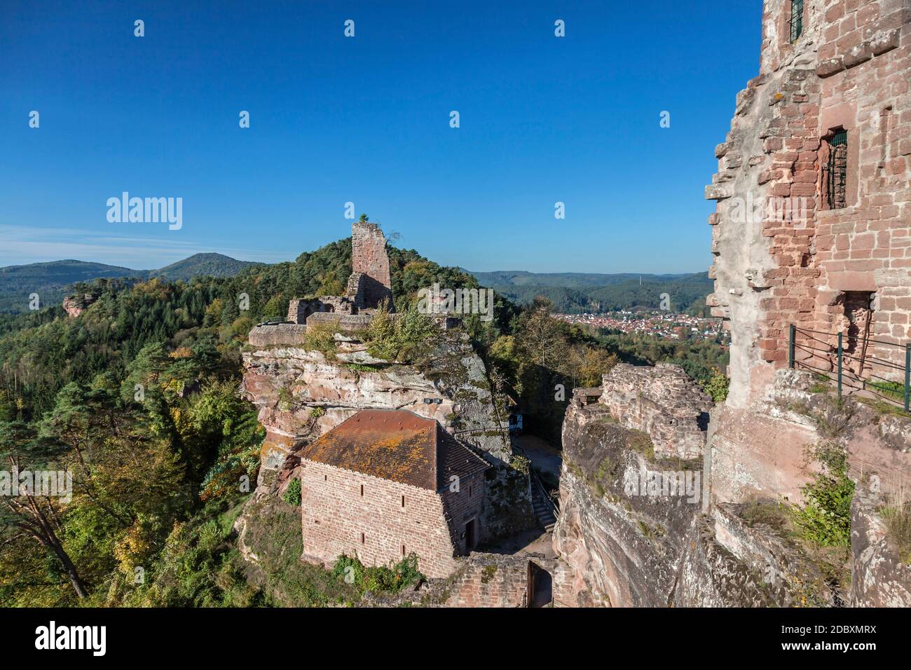 Nature reserve altdahn hi-res stock photography and images - Alamy