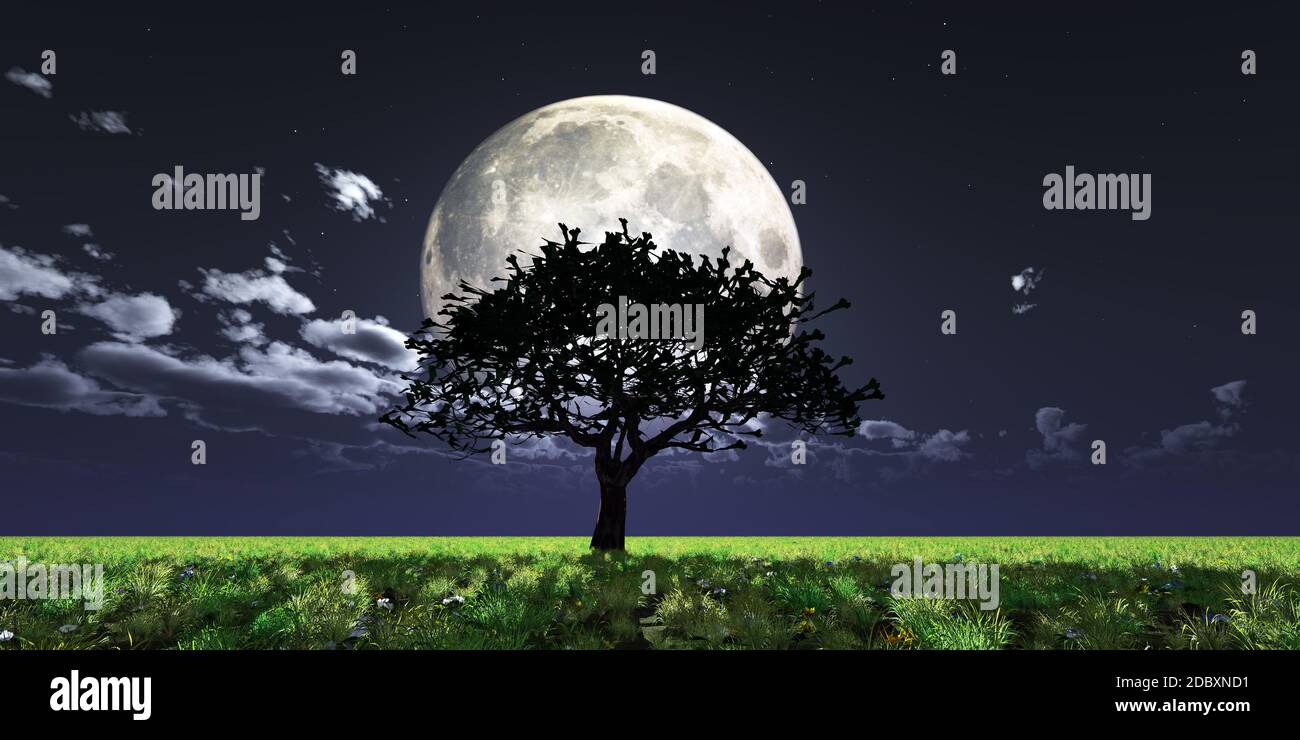tree night full moon, 3d render illustration Stock Photo - Alamy