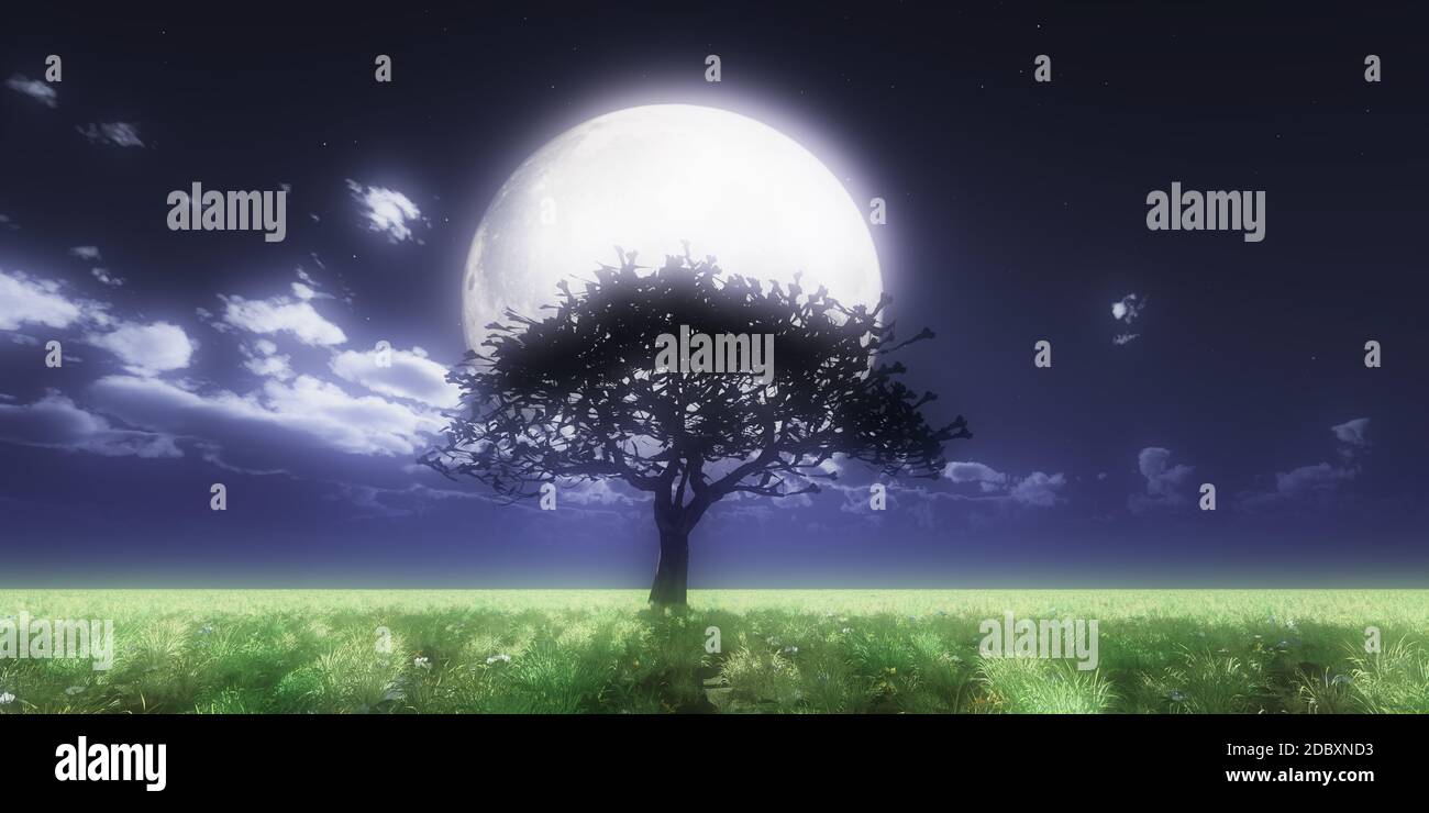 tree night full moon, 3d render illustration Stock Photo - Alamy