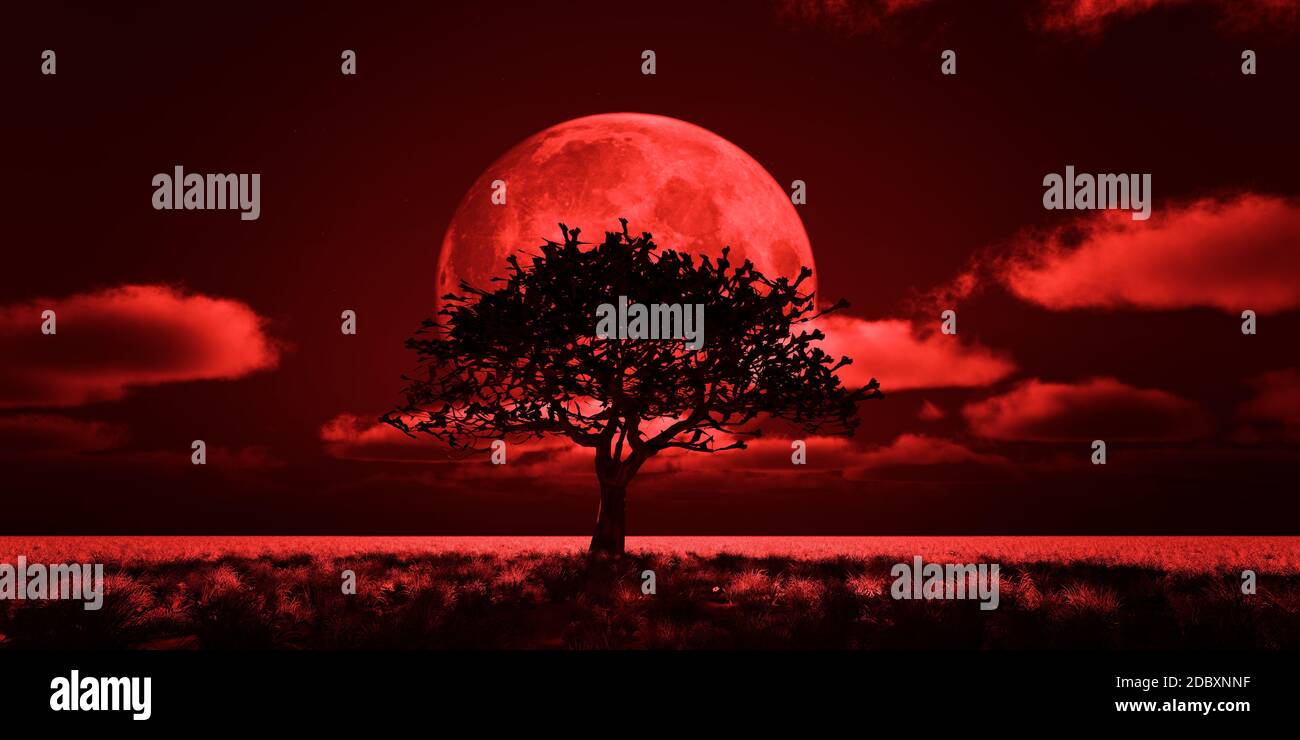 tree night full moon, 3d render illustration Stock Photo - Alamy