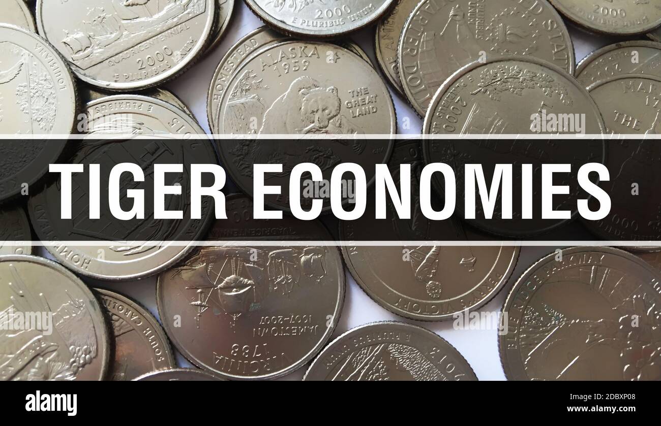 Tiger economies text Concept Closeup. American Dollars Cash Money,3D ...