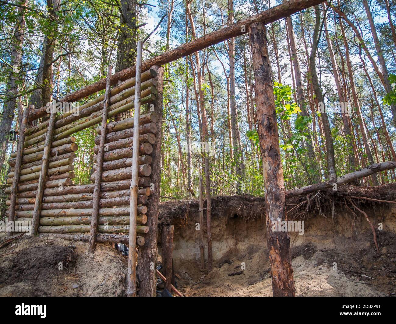 Wooden hut in the forest hi-res stock photography and images - Alamy