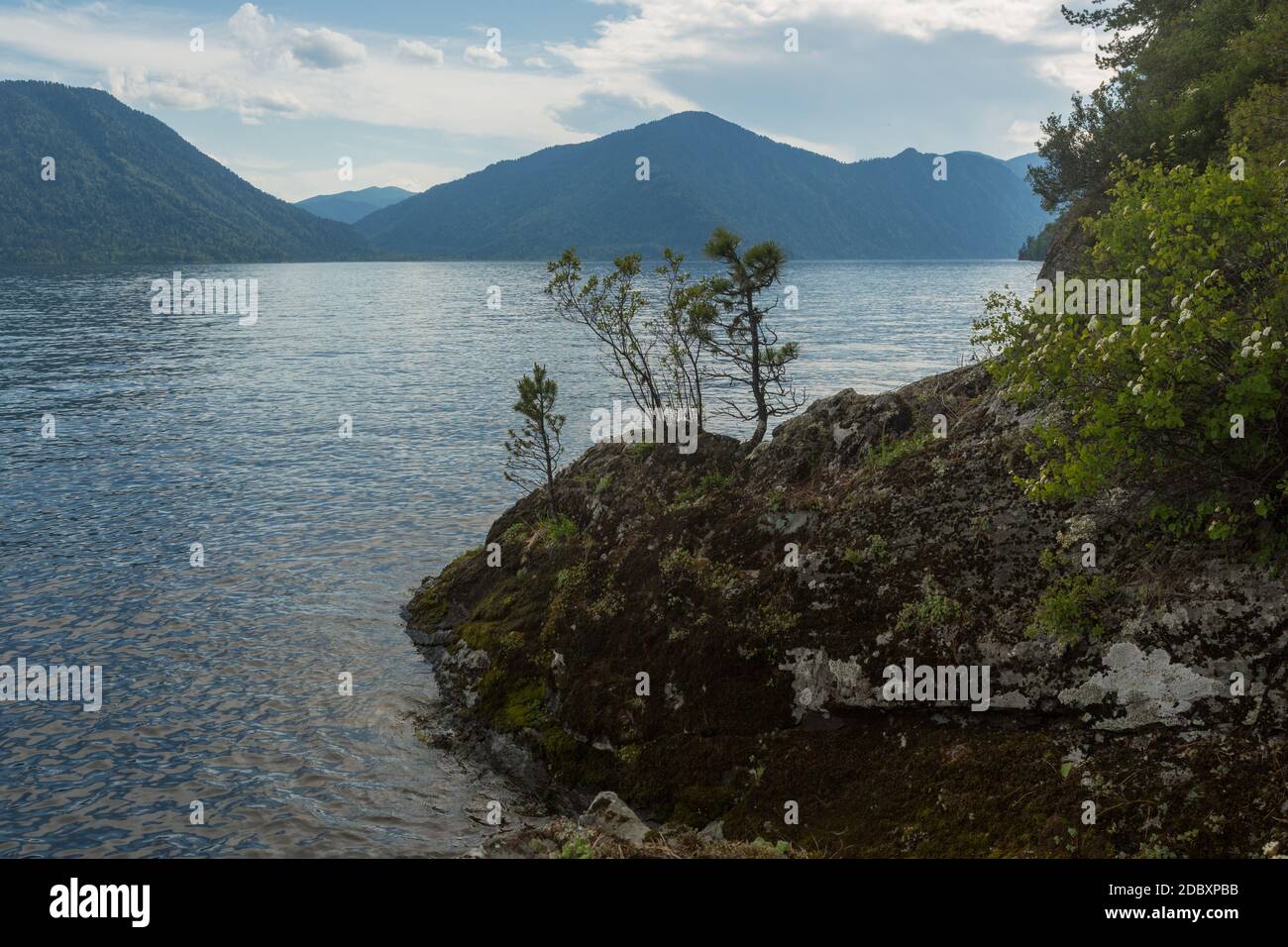 Lake Teletskoye with calm water on a summer day Stock Photo - Alamy