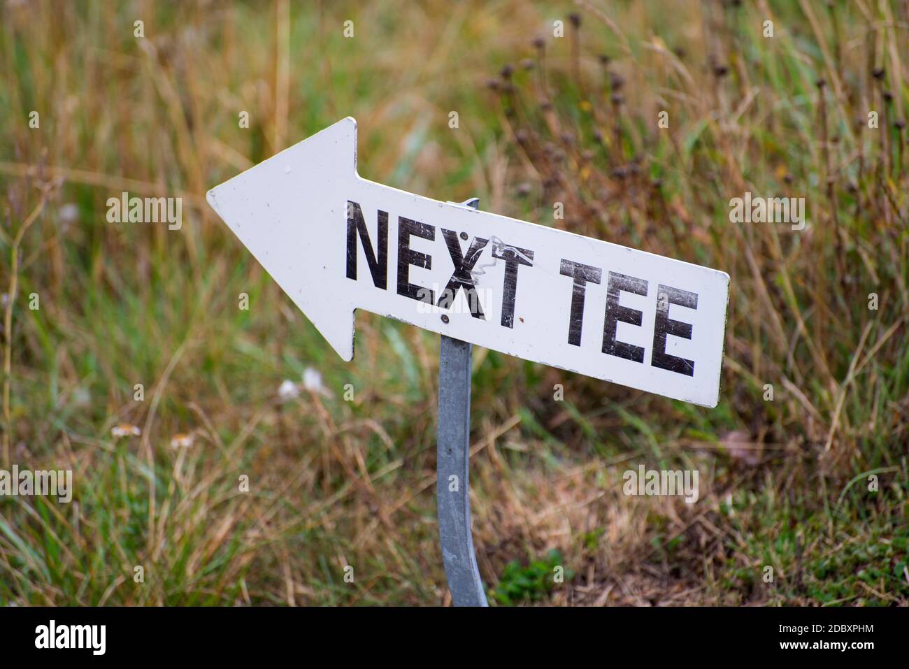 Colf club hi-res stock photography and images - Alamy