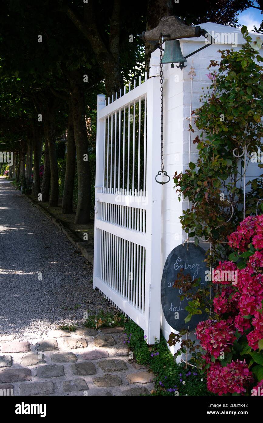 Tree lined estate driveway hi-res stock photography and images - Alamy