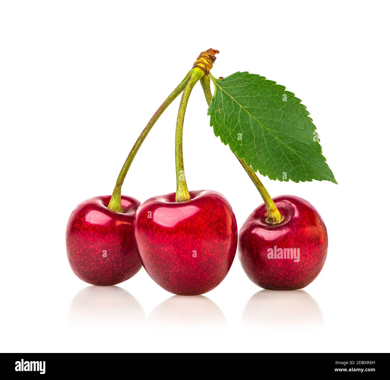 Three red cherries isolated on a white background Stock Photo - Alamy