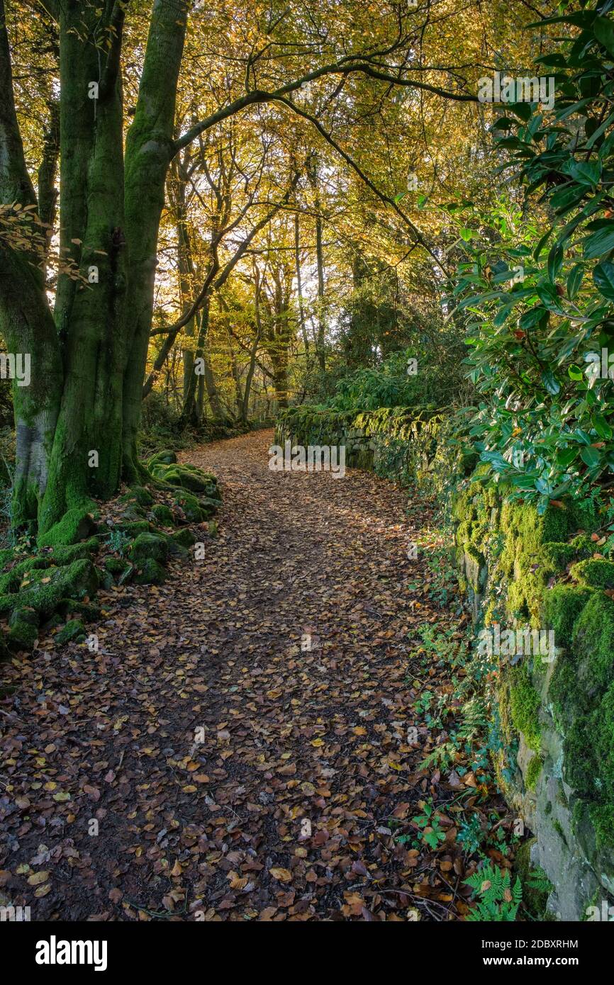 Winding Footpath High Resolution Stock Photography and Images - Alamy