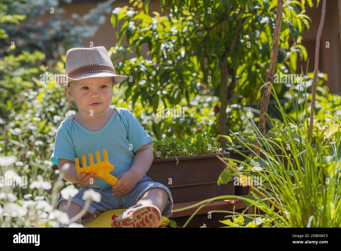 Baby boy is showing yellow baby rake sitting in the garden Stock Photo ...
