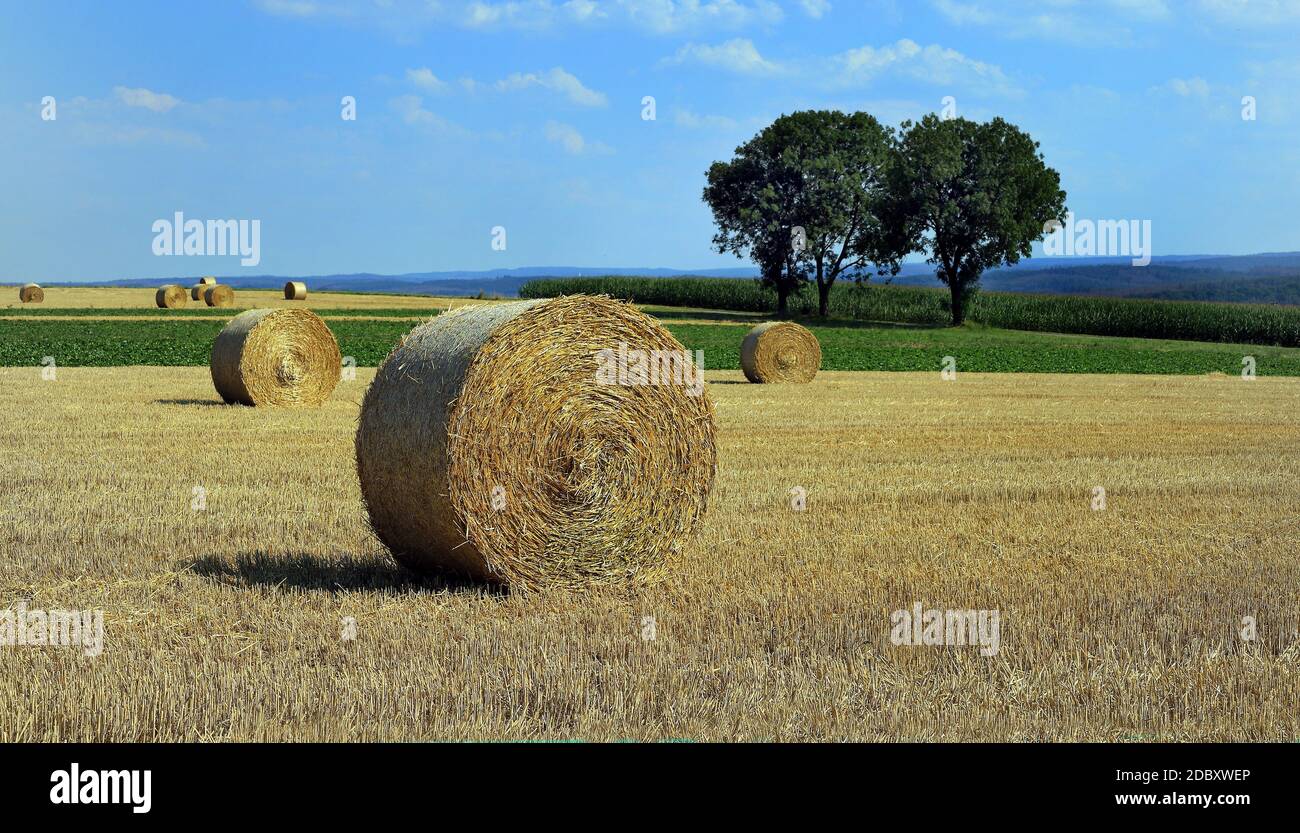 Stubblefield hi-res stock photography and images - Alamy