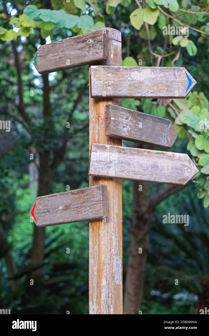 Old wooden direction pole in woods Stock Photo - Alamy