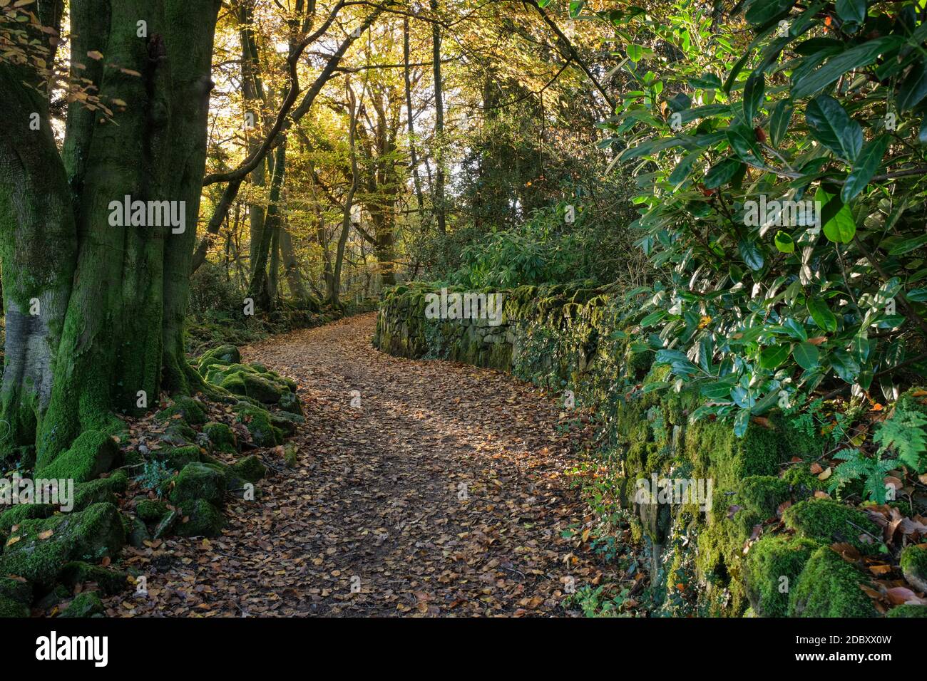 Winding Footpath High Resolution Stock Photography and Images - Alamy