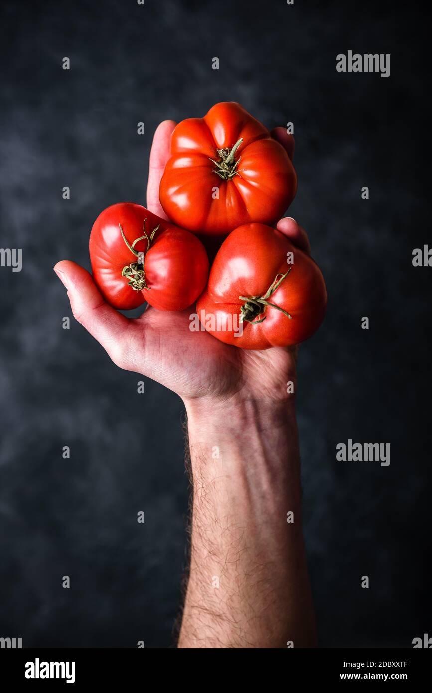 Hand holding fresh red tomatoes. View from above Stock Photo - Alamy