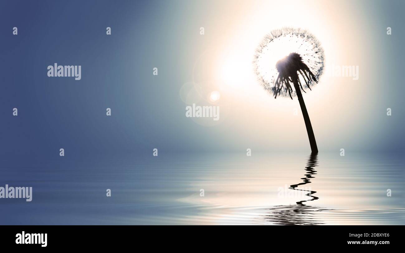 Beautiful dreamy spring nature background with dandelion Stock Photo ...