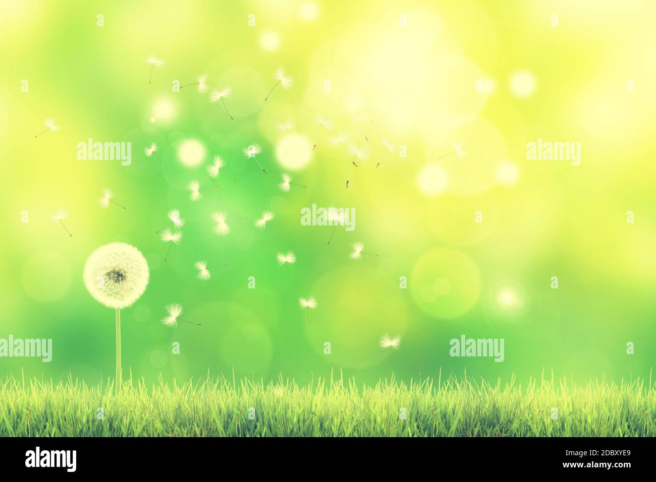 Beautiful dreamy spring nature background with dandelion Stock Photo ...