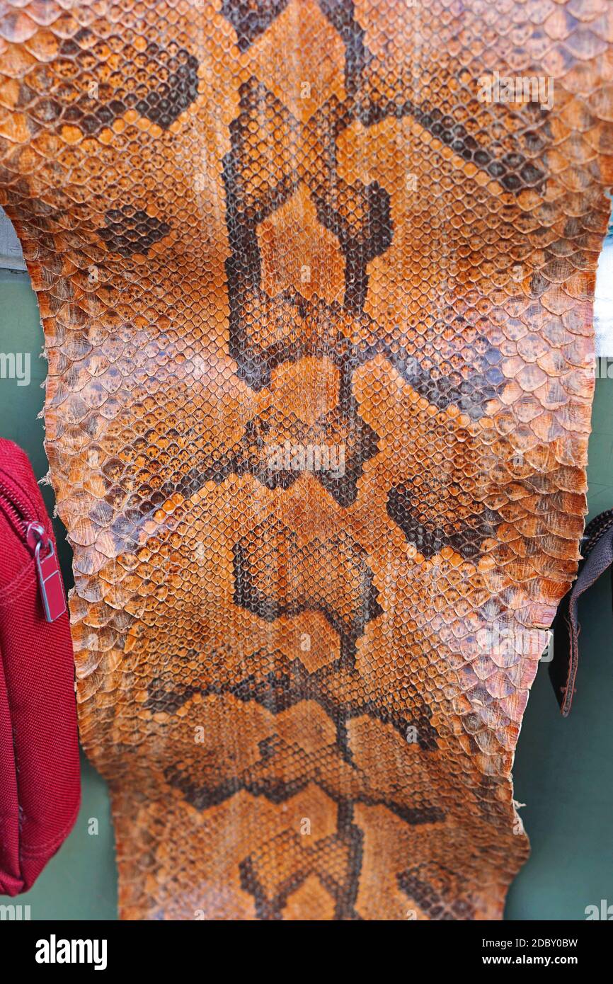 Real snake skin brown leather Stock Photo - Alamy
