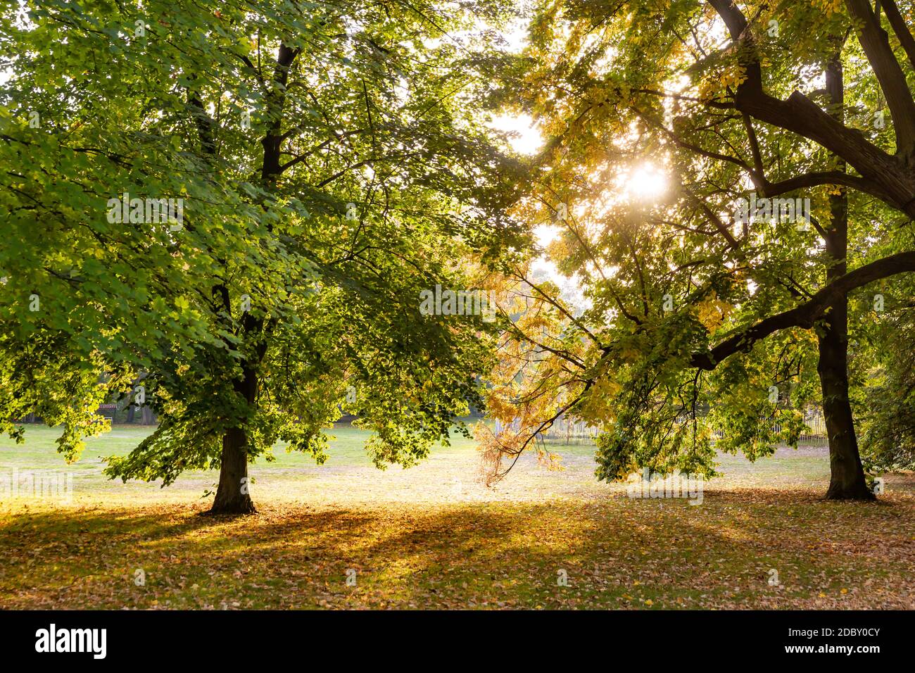 Beautiful autumn scenic in october in public park in germany Stock ...