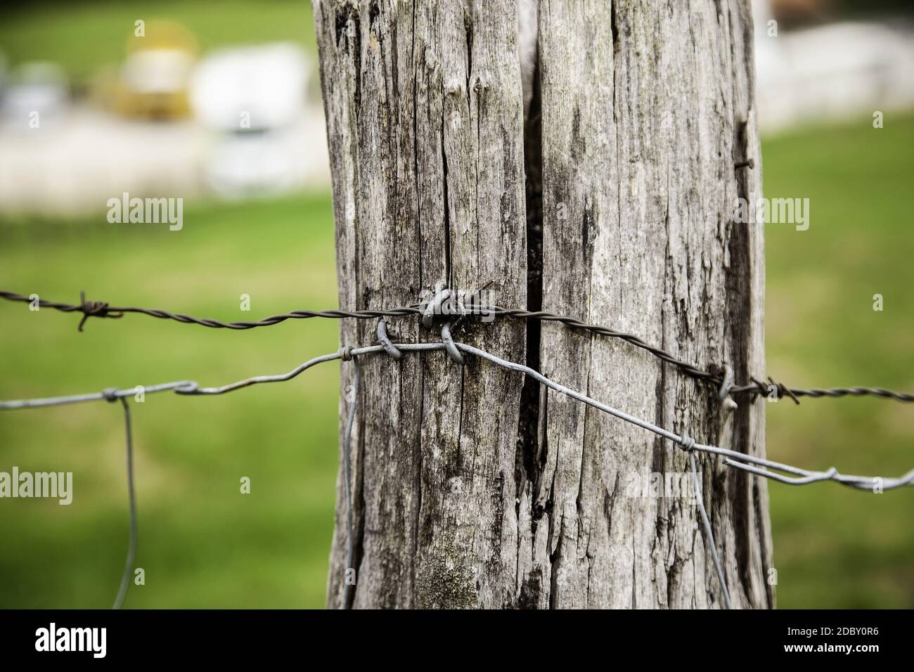 Protection and security in the field, protection for people and animals ...