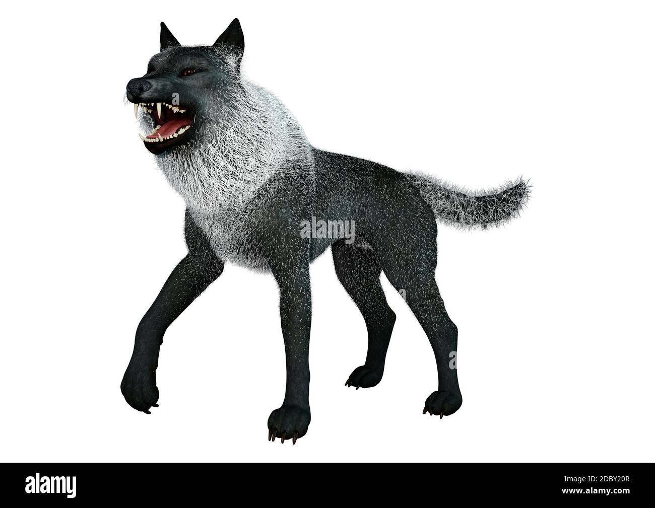 3D rendering of a black wolf isolated on white background Stock Photo ...