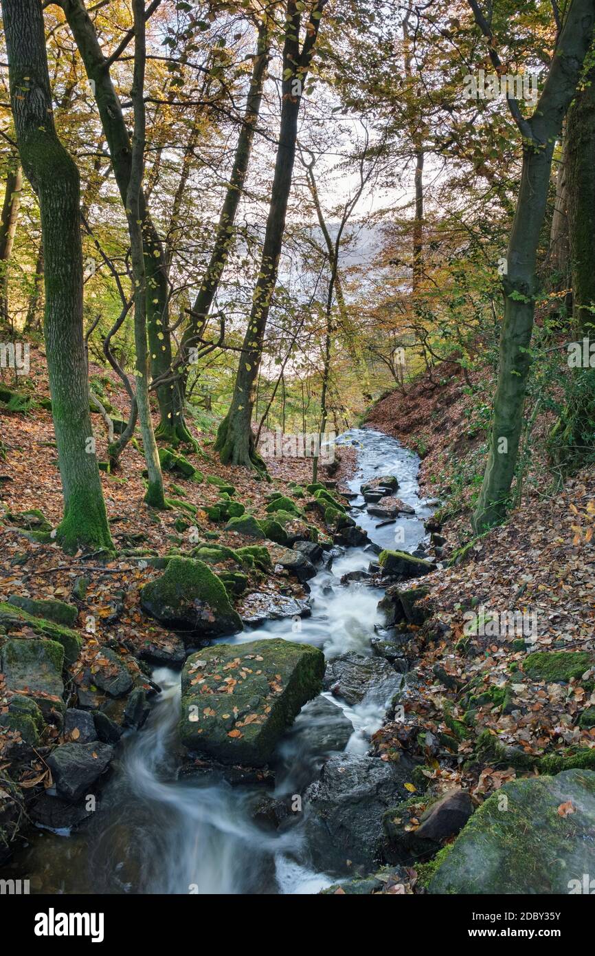 Whitestone monmouthshire hi-res stock photography and images - Alamy