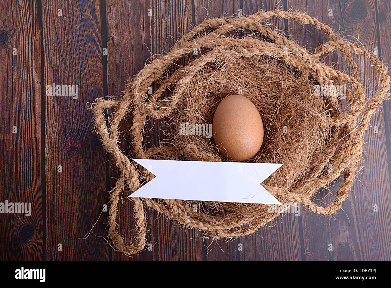Bird nest with egg and rope and white label for copy space on wooden ...