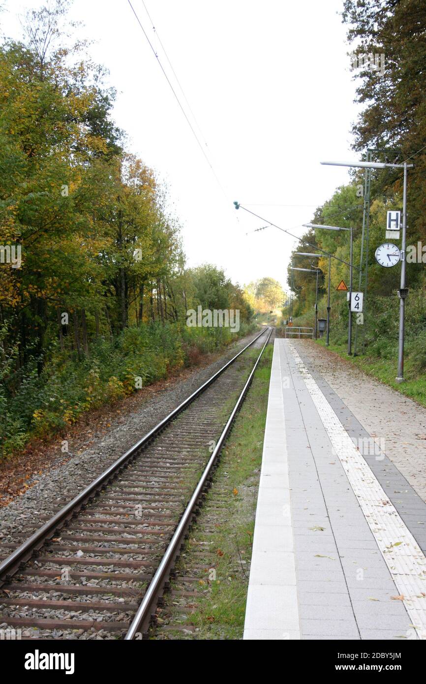 A lonely deserted platform, surrounded by trees Stock Photo - Alamy