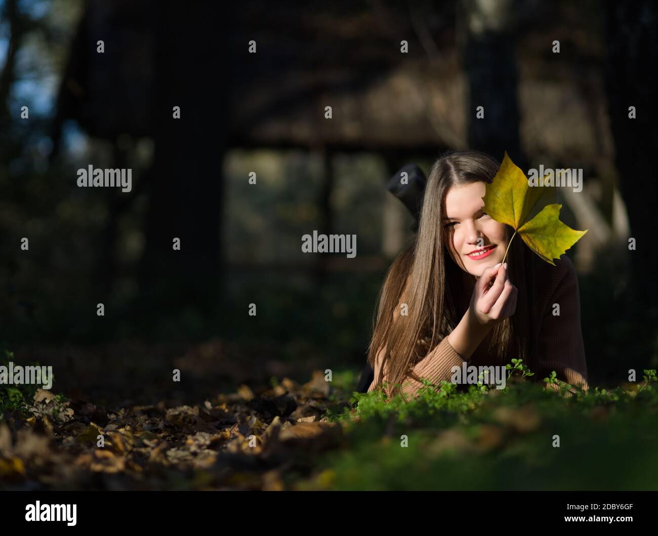 Young Beautiful Long Haired Brunette Woman Lie Prone In The Forest With